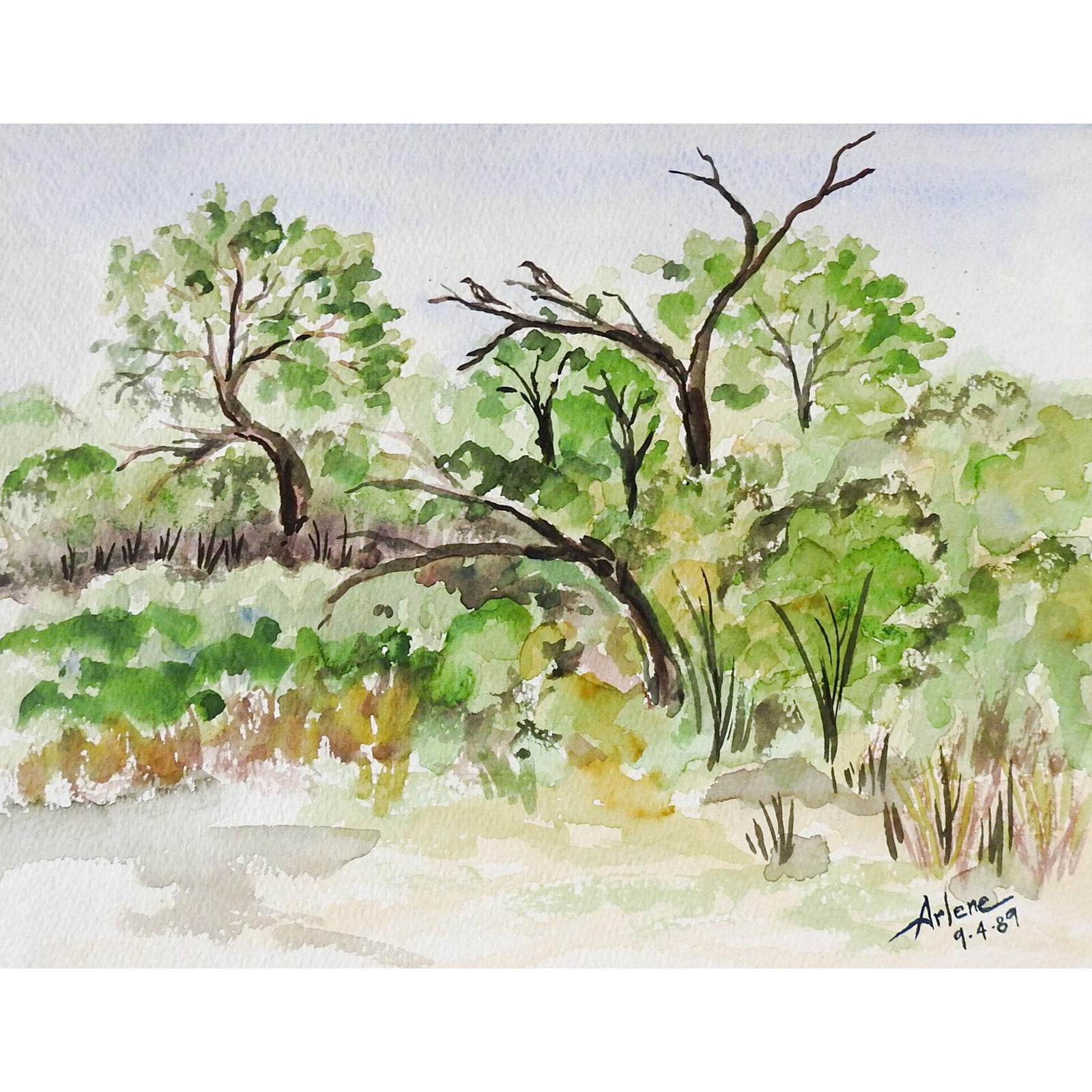 1989 Plein Air Trees & Pasture Landscape Watercolor Painting | Chairish