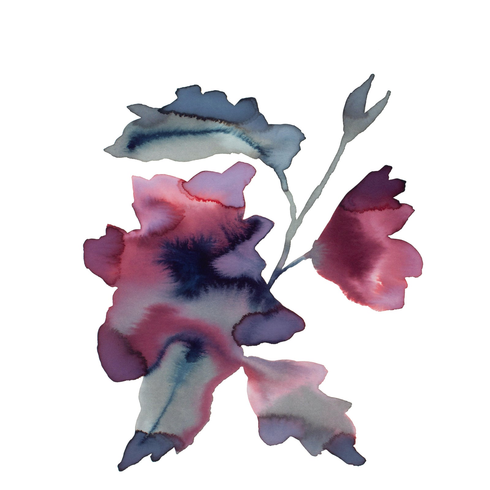"Floral No. 27" Contemporary Original Botanical Flower Watercolor ...