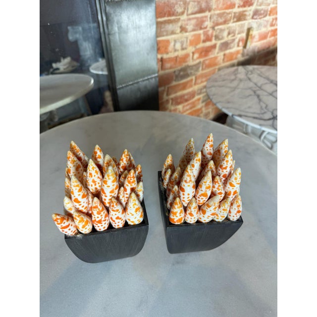 Pair of Mitra Mitra Shell Vases | Chairish