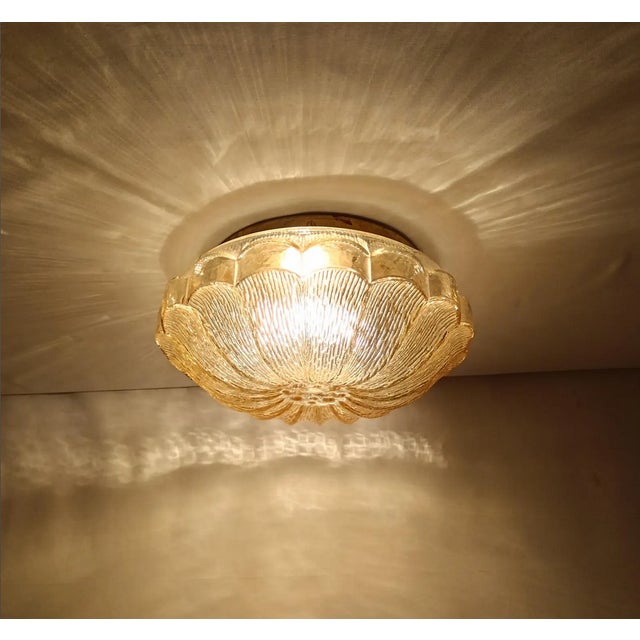 Vintage Amber Glass Ceiling Lights, 1980s, Set of 2 | Chairish