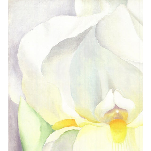 2022 Georgia O'keeffe White Lily Lithograph Poster | Chairish