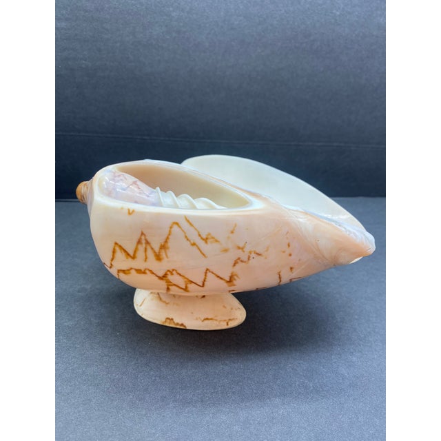 Early 20th Century Conch Seashell Pedestal Bowl Catchall | Chairish
