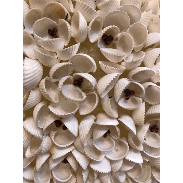 Vintage Handmade Elliptyical Seashell Flying Saucer Chandelier | Chairish