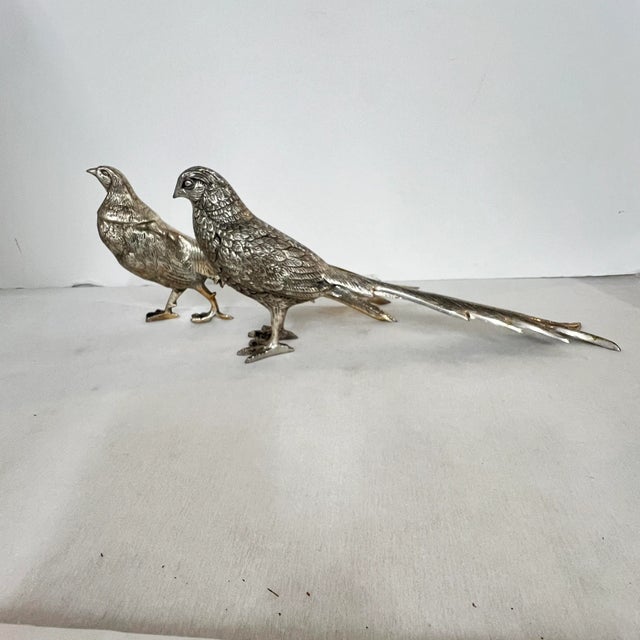 silver pheasants for table