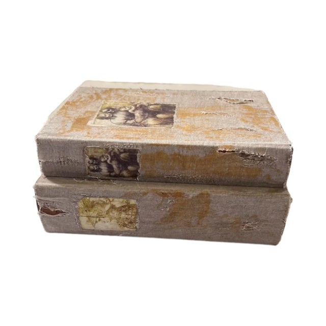 Pair of Secret Book Boxes With Leonardo Da Vinci Illustrations | Chairish