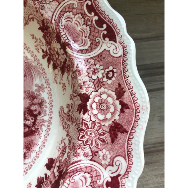 Antique William Adams & Sons Pink Staffordshire Transfer Dish in ...