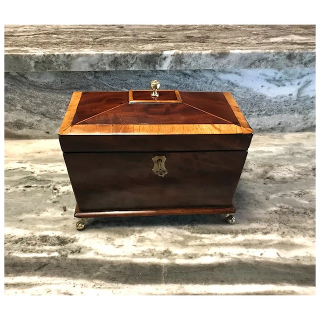 Early 19th Century English Regency Tea Caddy | Chairish