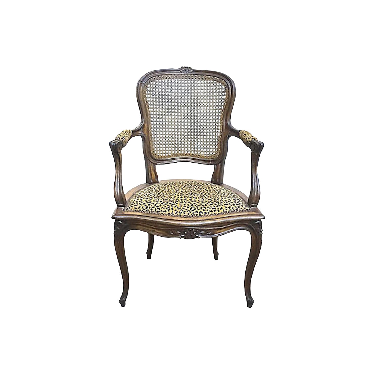 1900s Antique Cane & Leopard Armchair | Chairish