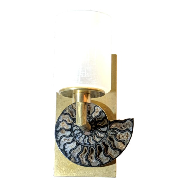 Natural Ammonite Nautilus Fossil Wall Light in Solid Brass and Glass ...