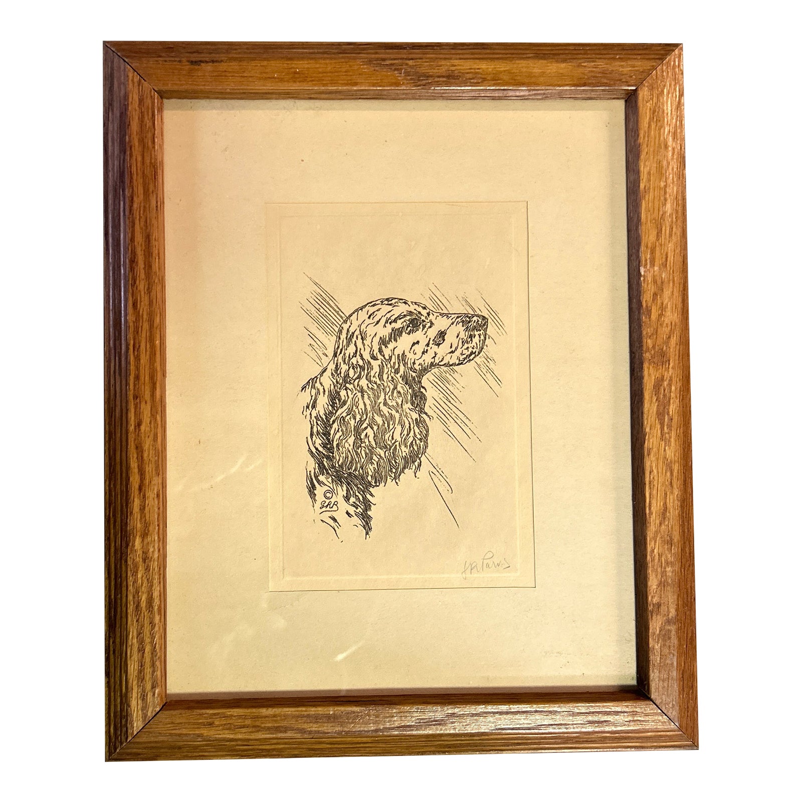 1970’s Original Traditional Rustic English Setter Dog Portrait Etching ...