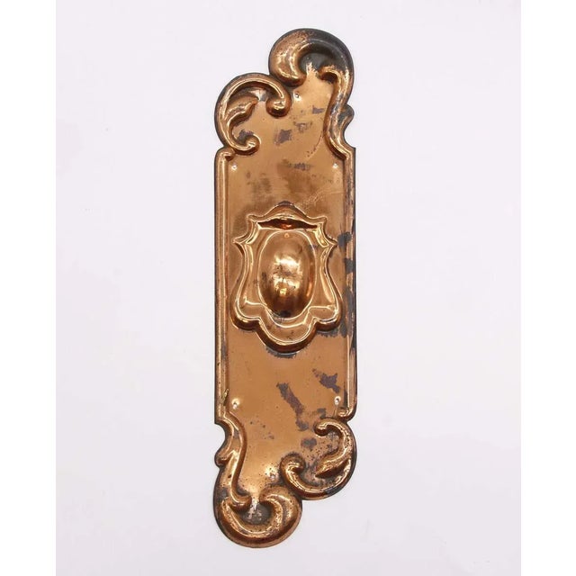 Pair of Mid 20th Century Coppered Brass Art Nouveau Door Push Plates ...