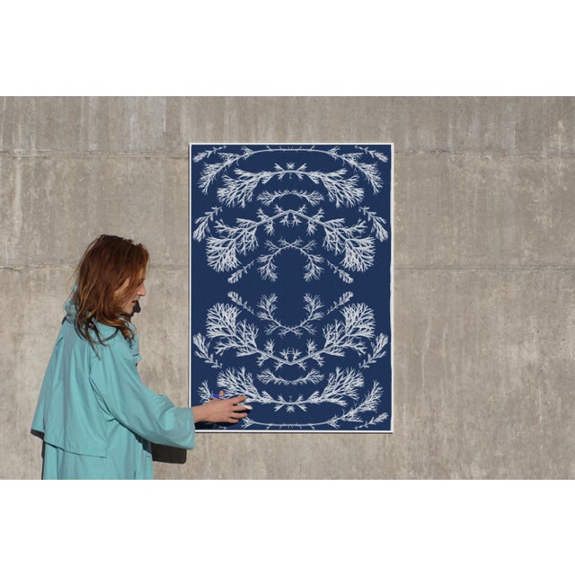 "Vintage Pressed Flowers Nº1", Botanical Cyanotype on Watercolor Paper ...