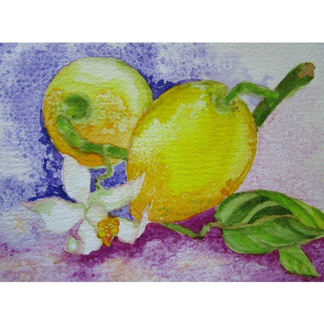 Lynne French Gallery Wall Garden Vegetable Paintings - Set of 3 | Chairish