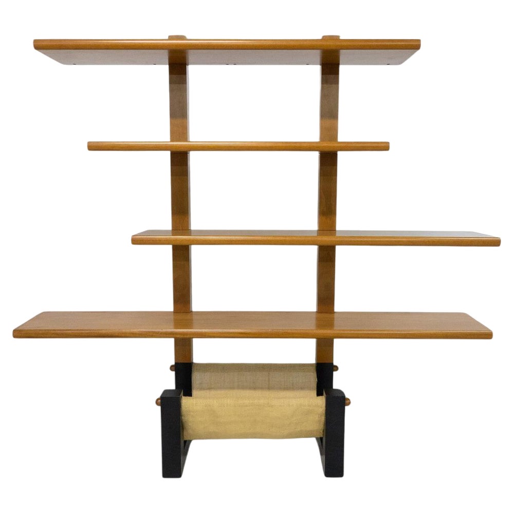 Mid-Century Italian Shelf by Roberto Pamio and Renato Toso for Stilwood ...