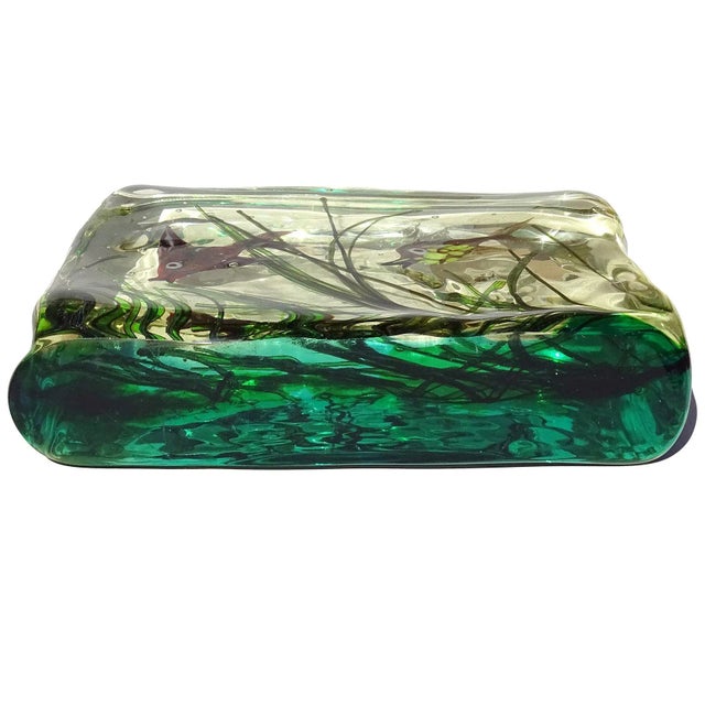 A.Ve.M. Murano Vintage Purple Red Yellow Green Algae Swimming Double ...