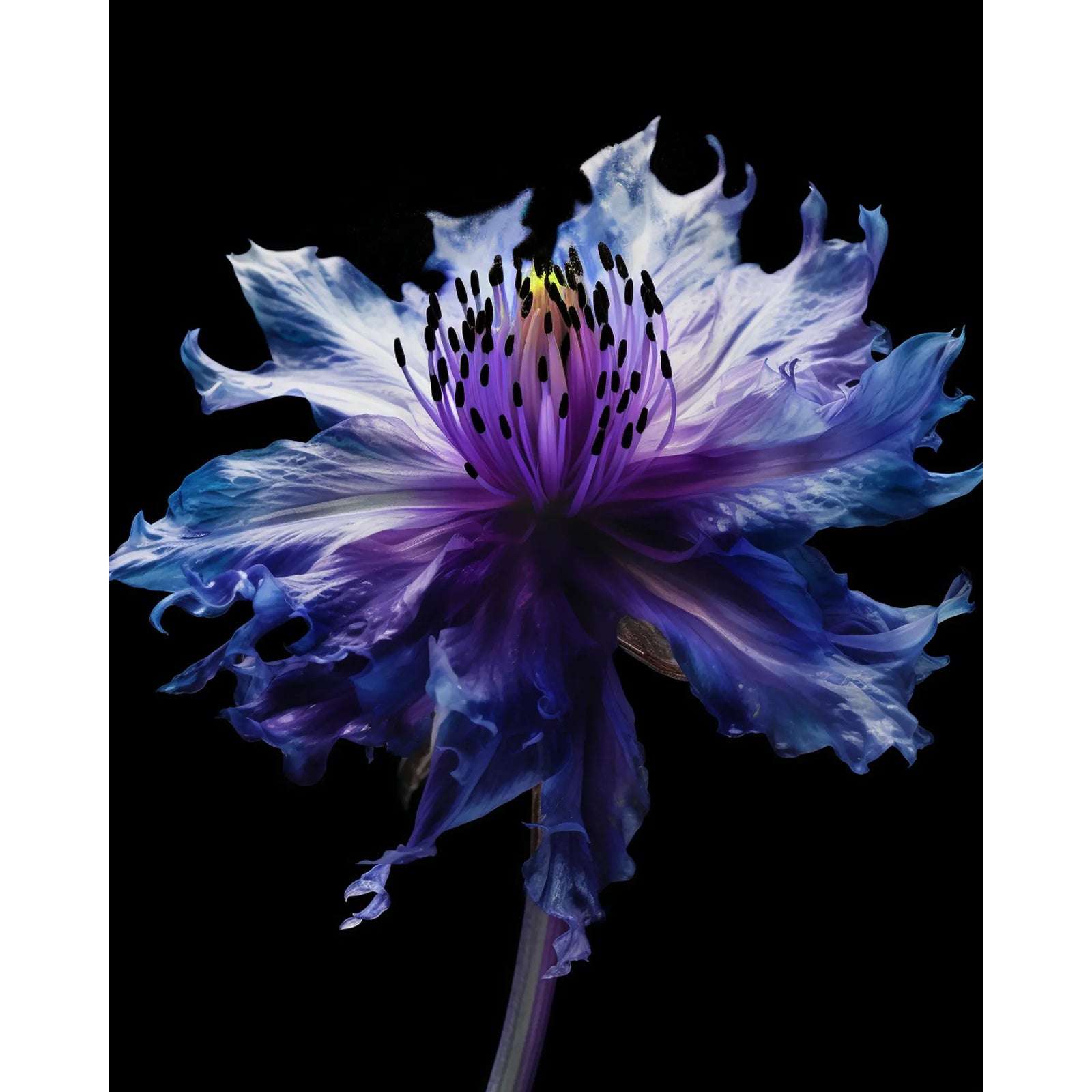 "A Botanical 64" Contemporary Color Photography | Chairish