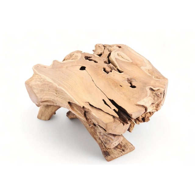Free Form Teak Root Coffee Table 2 | Chairish