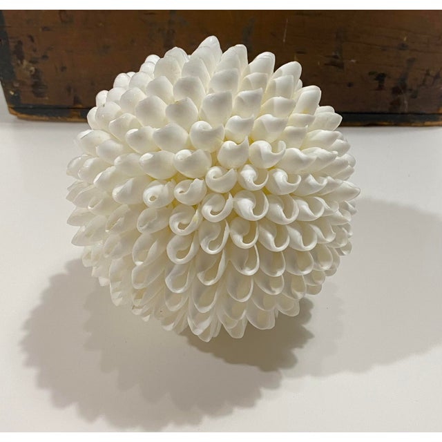 Vintage White Sea Shell Ball | Chairish