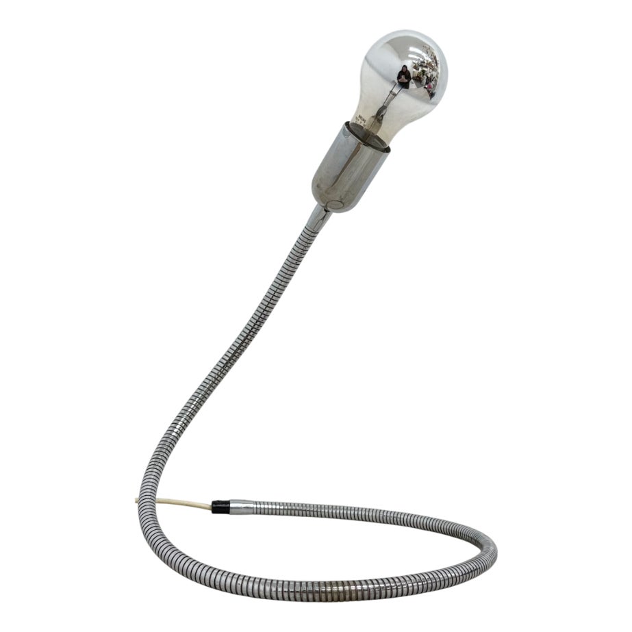 Mid-Century Snake Desk Lamp from Gepo, 1970s | Chairish