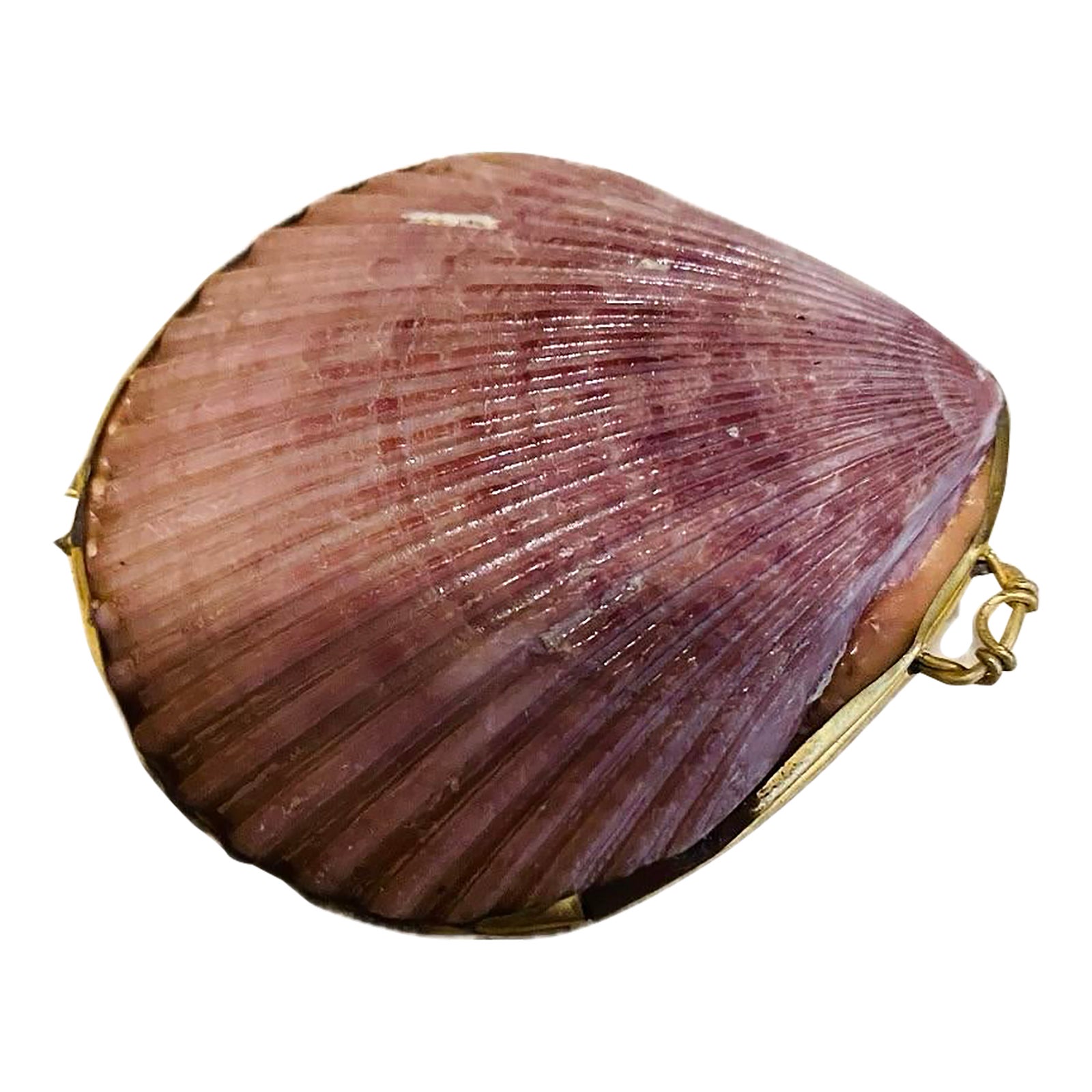 Vintage Clam Shell Trinket Box | Chairish