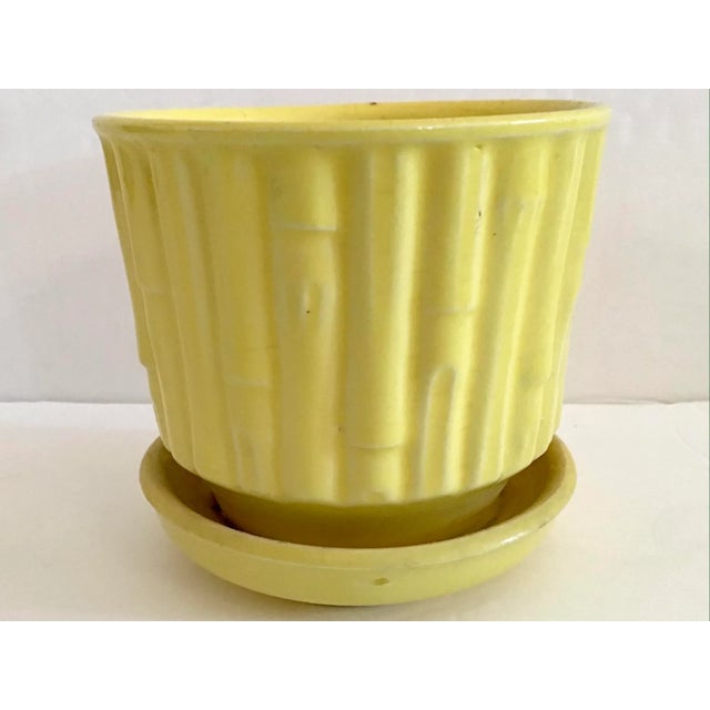 Small Faux Bamboo Yellow Glaze Ceramic Cachepot | Chairish