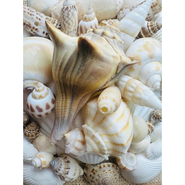 Vintage Coastal Handmade Shell Plaques, a Pair | Chairish