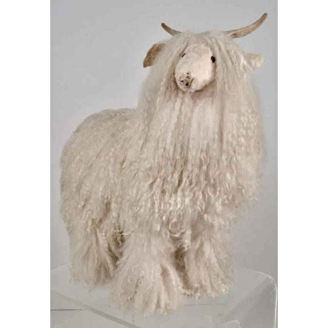 Tibetan Sheep Footstool W/ Natural Sheep Horns | Chairish
