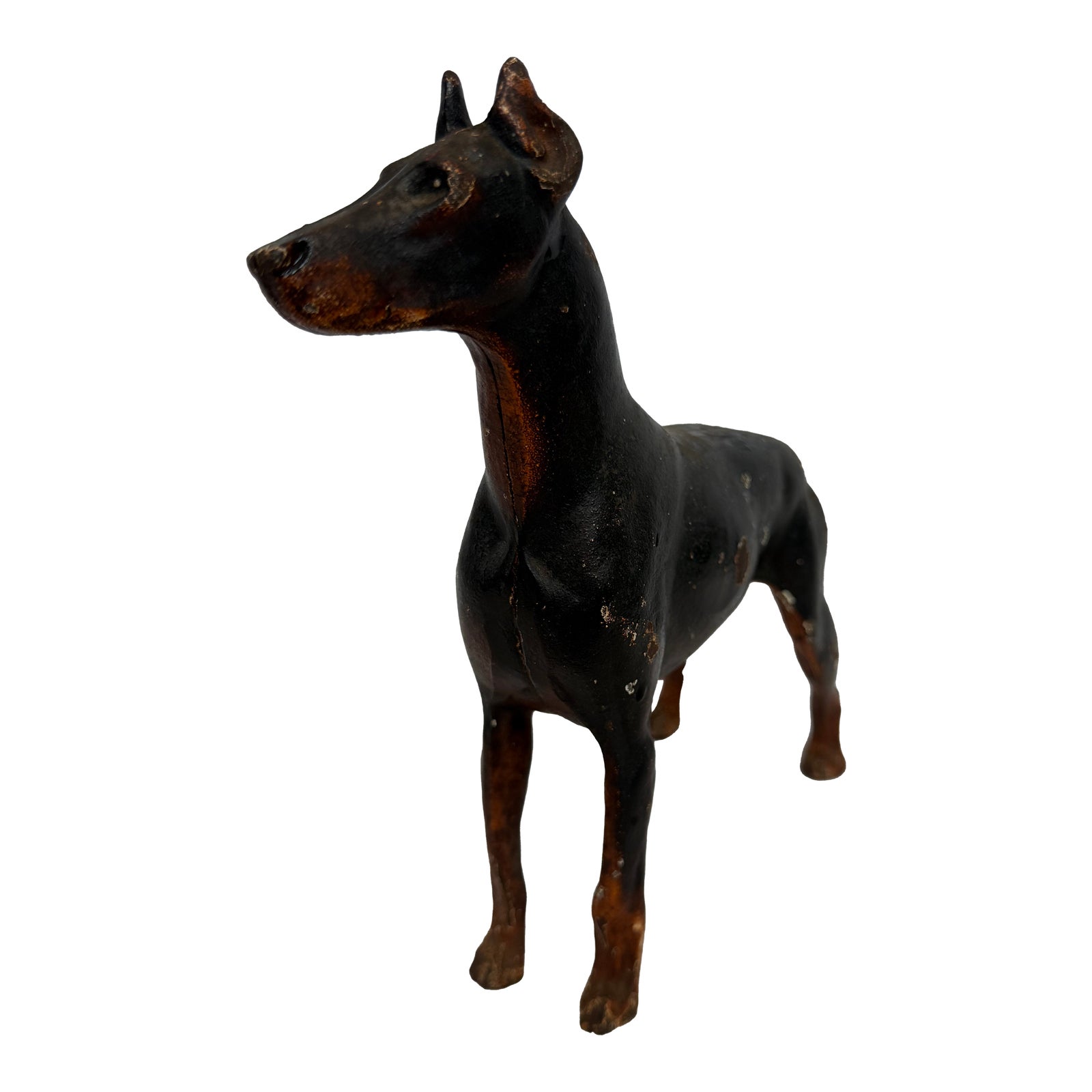 1920s Hard to Find Very Rare Doberman Pinscher | Chairish