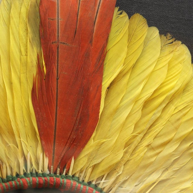 1900s Kayapo Culture, Brazil Amazonian Ceremonial Headdress Worn by Men ...