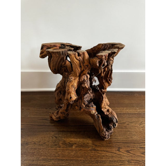 Vintage Burl Root Wood Coffee or Side Table With Glass Top | Chairish