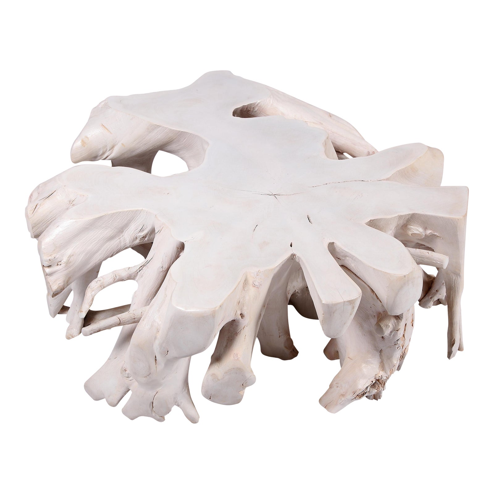 Round White Teak Root Coffee Table 14 | Chairish