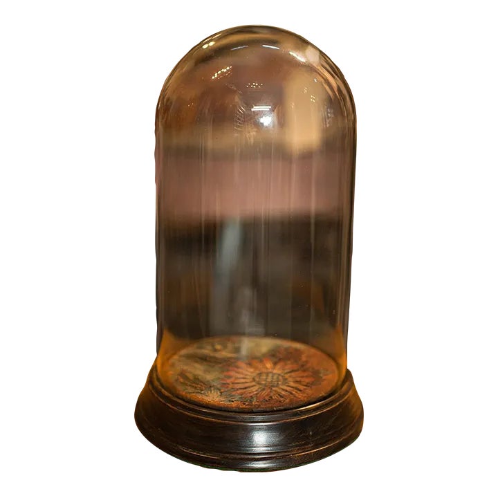 Victorian Antique Display Dome, English, Glass, Beech, Taxidermy ...