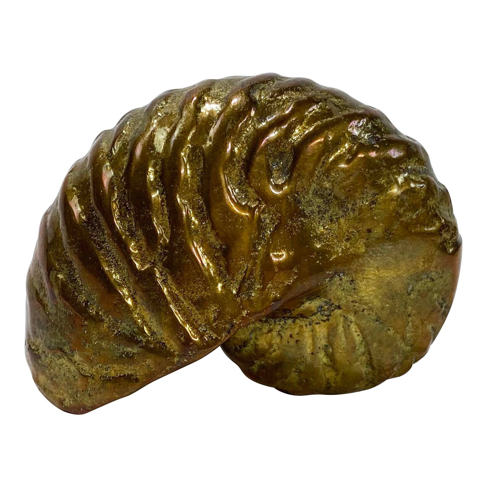 Vintage Brass Brutalist Ammonite Paper Weight | Chairish