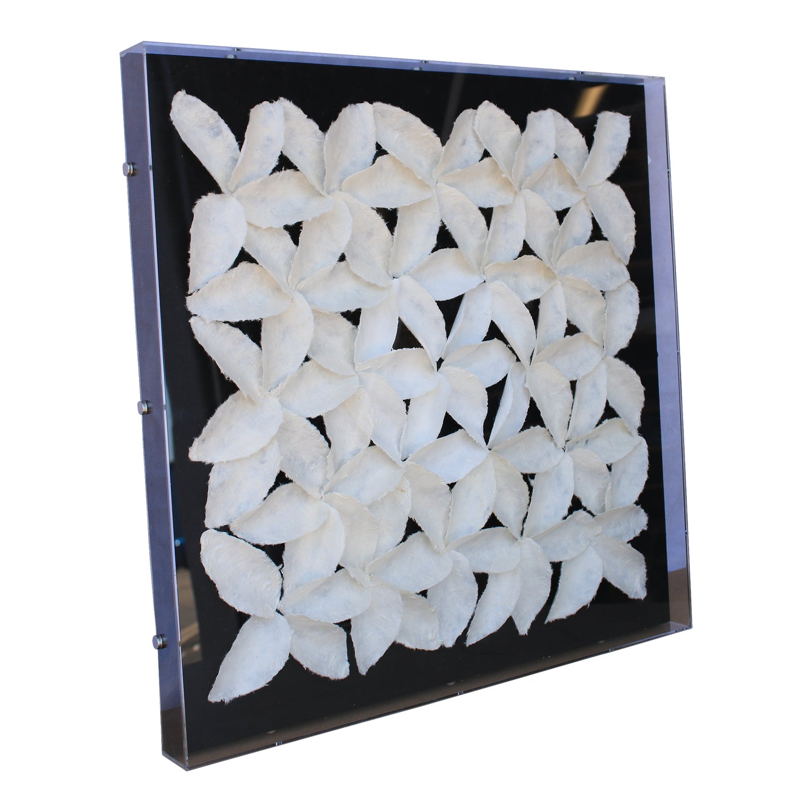 Pedals in Acrylic Frame Wall Art | Chairish