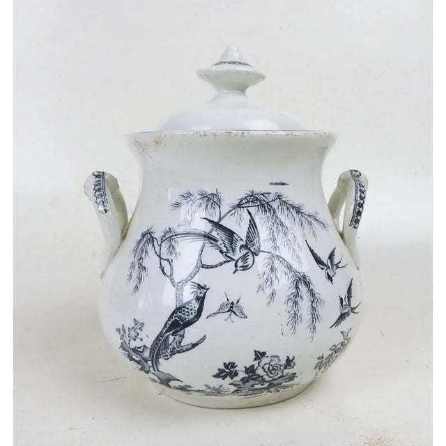 Late 19th Century Aesthetic Chinoiserie Transferware Sugar Bowl | Chairish