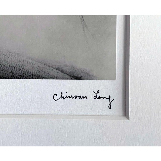 Mid 20th Century Framed Photograph Spring Fantasia by Chin San Long ...