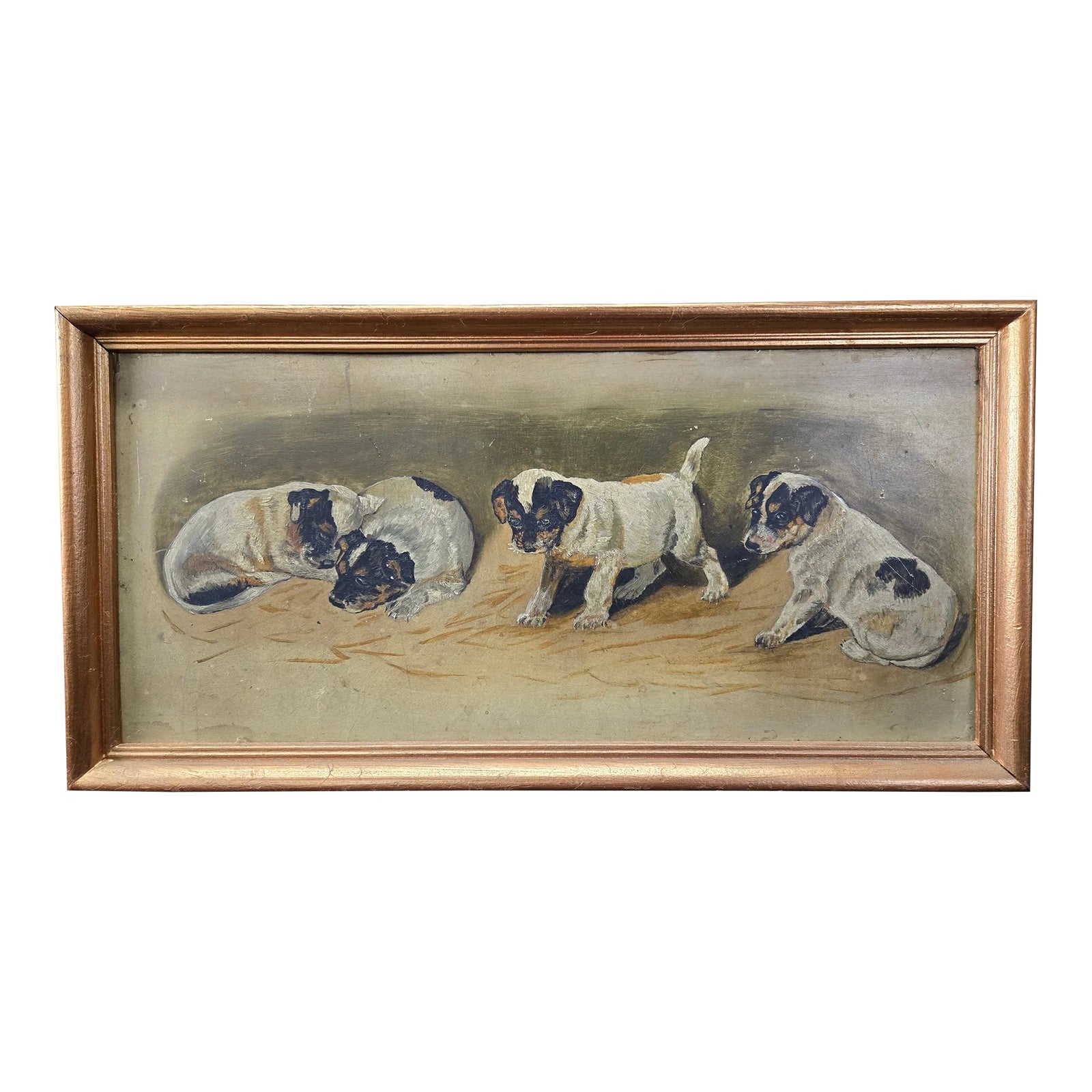 1950s Vintage Painting of Four Terrier Puppies, Framed | Chairish