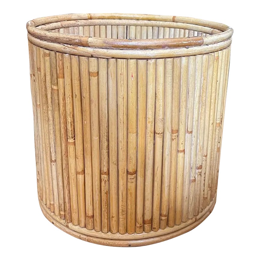 Late 20th Century Large Vintage Pencil Reed Planter | Chairish