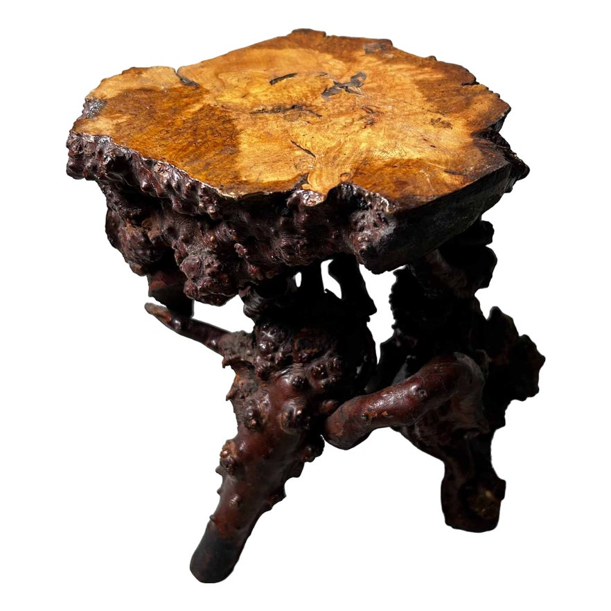 Small Wooden Burl Root Display, 1920s | Chairish