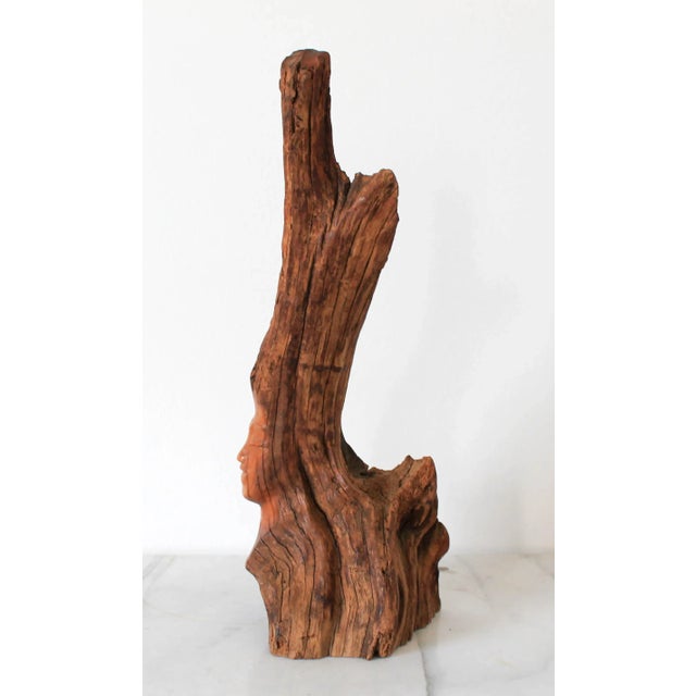 Vintage Hand Carved Tree Root Wood Abstract Art Sculptures S/5 | Chairish