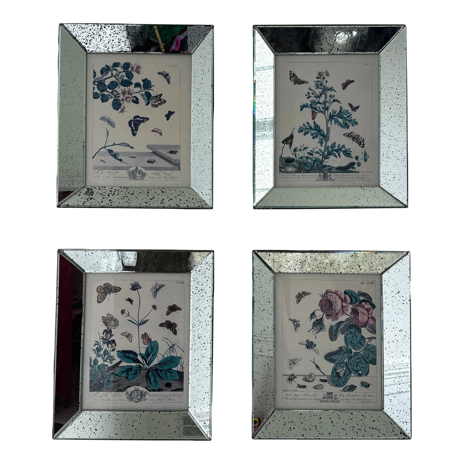 2000s Floral Mirrored Frames- Set of 4 | Chairish