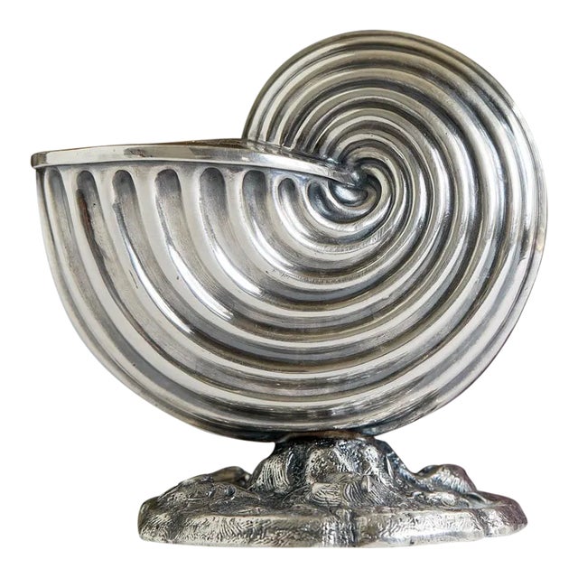 Antique 1880s English Nautilus Shell Spoon Warmer | Chairish