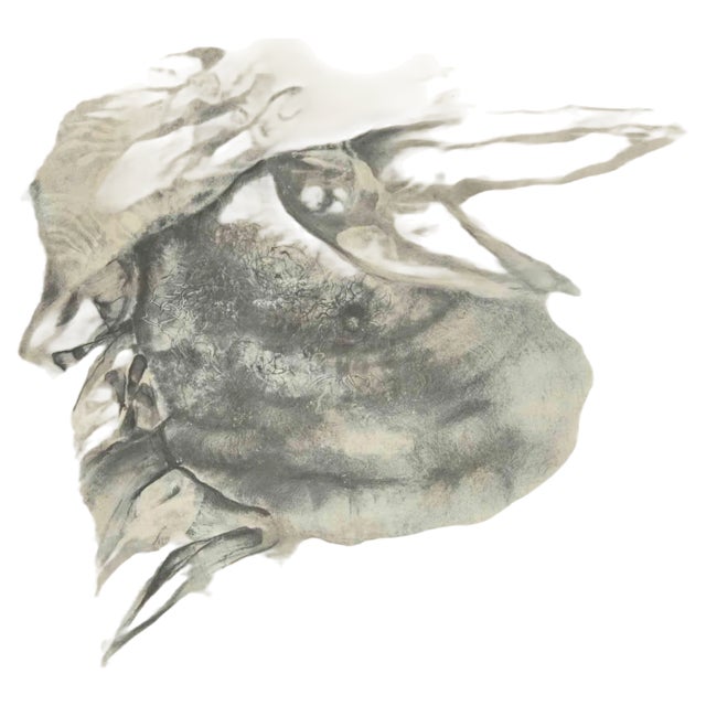 Renzo Vespignani, The Hand, Phototype Print, 1960s | Chairish