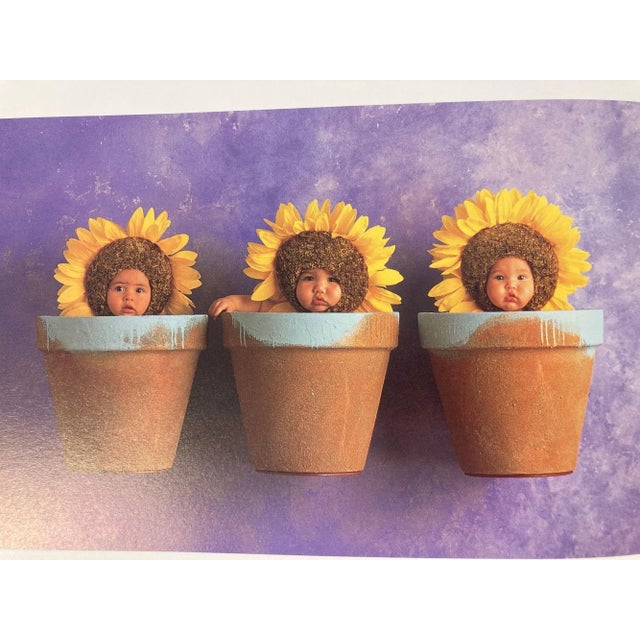 Anne Geddes Down In The Garden Large Hardcover Book 1996 Chairish