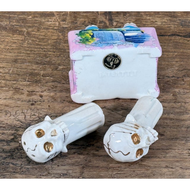 Vintage Niagara Falls Skull Salt and Pepper Shakers Ceramic Souvenir ...