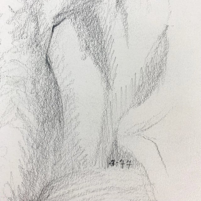 Vintage Male Nude Life Pencil Sketch Figure Study Paper Judy Horowitz ...