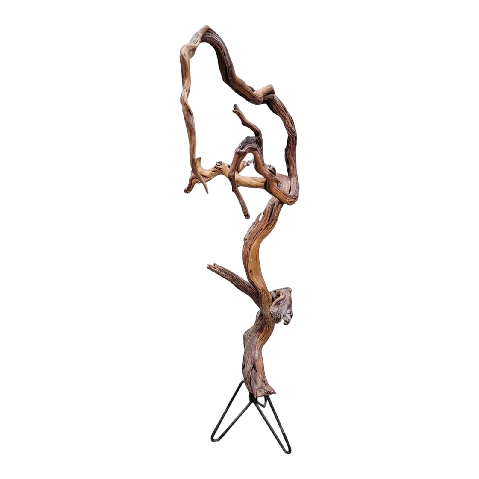 Mid Century Natural Teak Root Floor Statue | Chairish