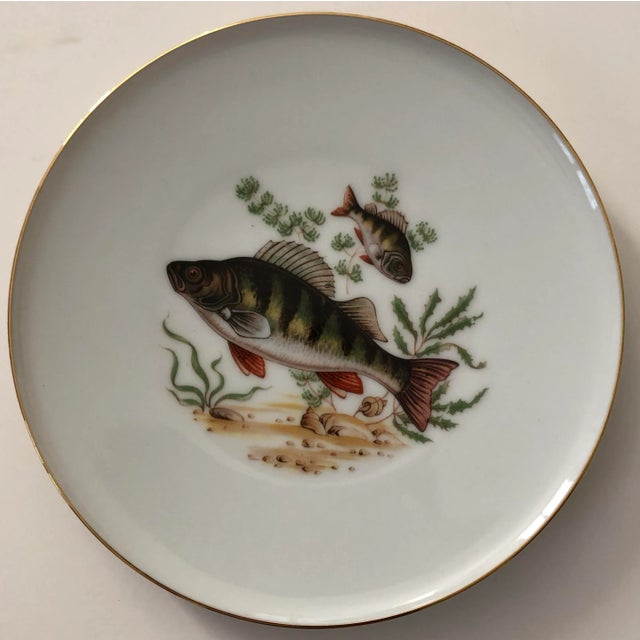 1930s Pre-Ww2 Decorative Fine Porcelain Fish Plates, Bavaria, Germany ...