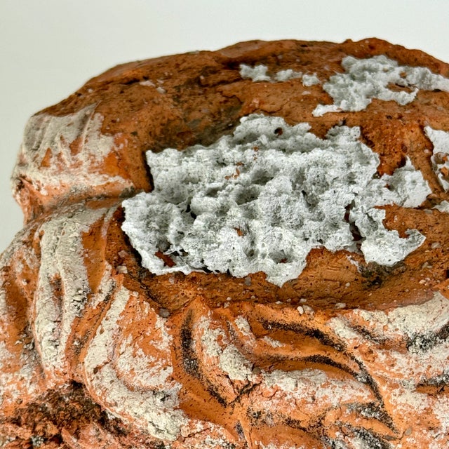 Mid 20th Century Stupendous Terracotta Head Bust Statue Sculpture of ...