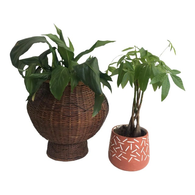 Vintage Natural Woven Bamboo Rattan Wicker Planter Basket | Chairish